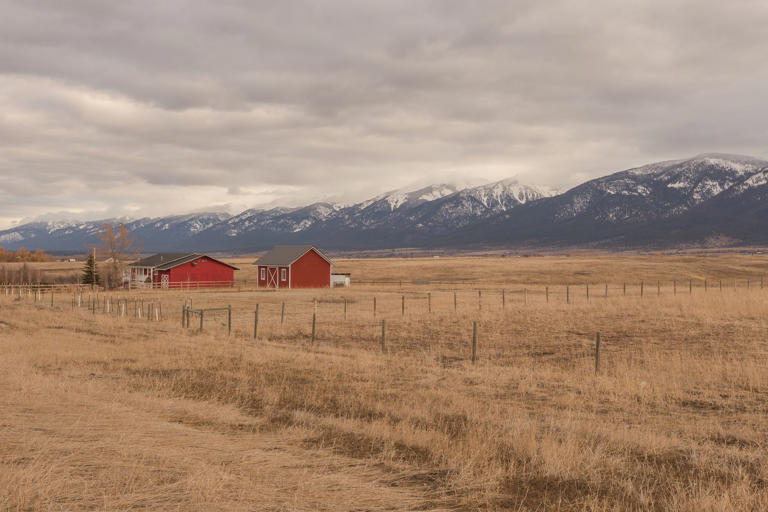 Inside a one-woman fight against a 5K-acre data center
