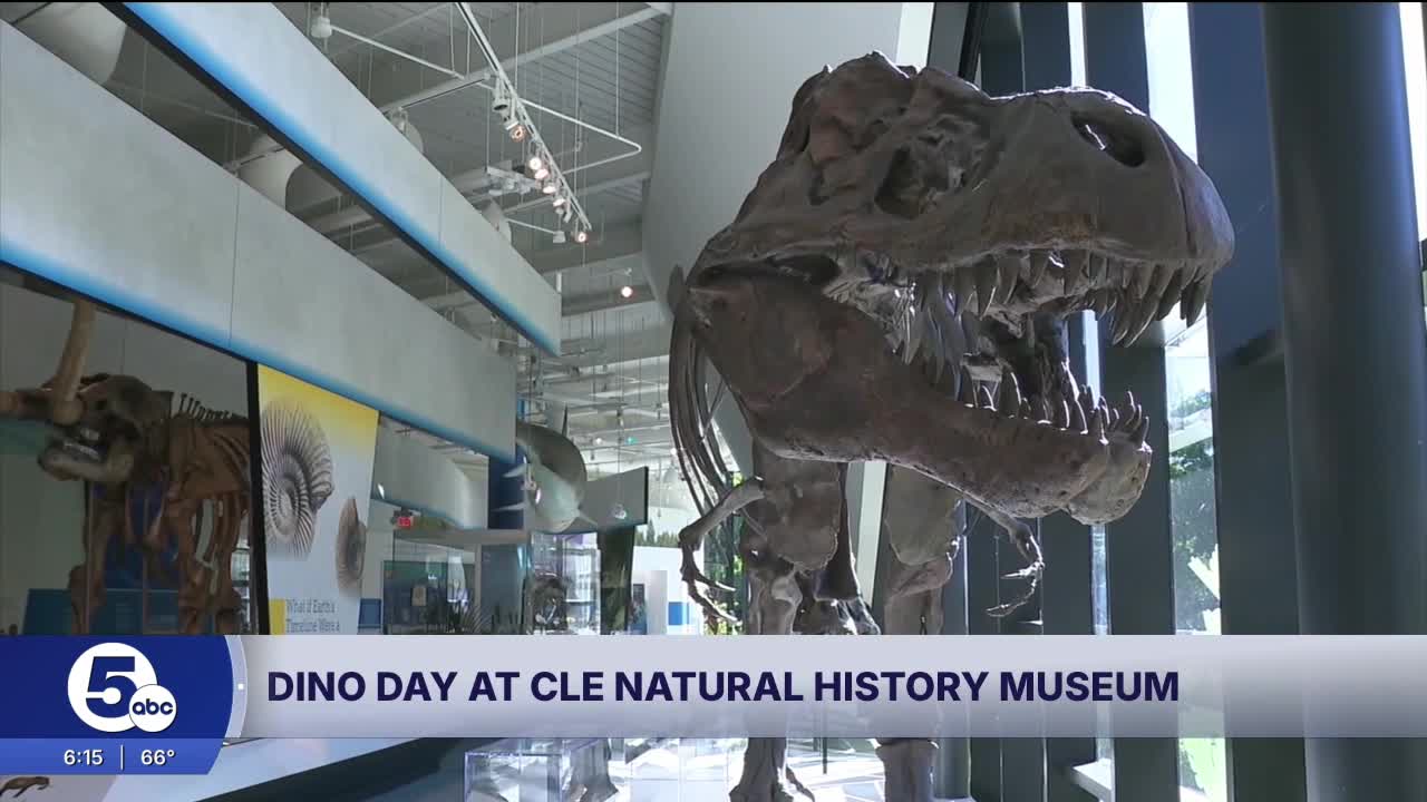 Prehistoric fun brought to Cleveland Museum of Natural History during ...