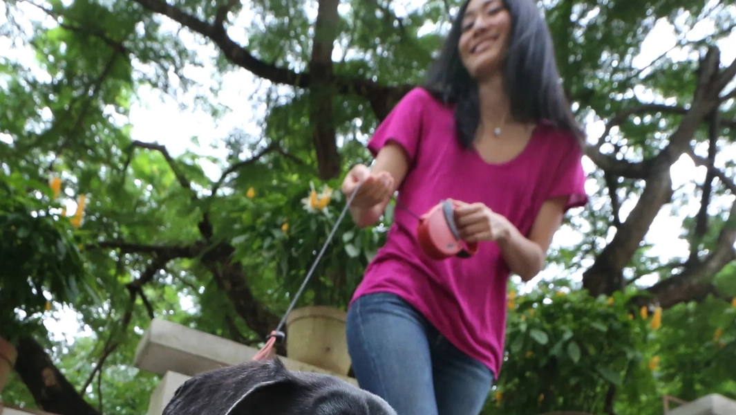 Small dog breeds that fit your life