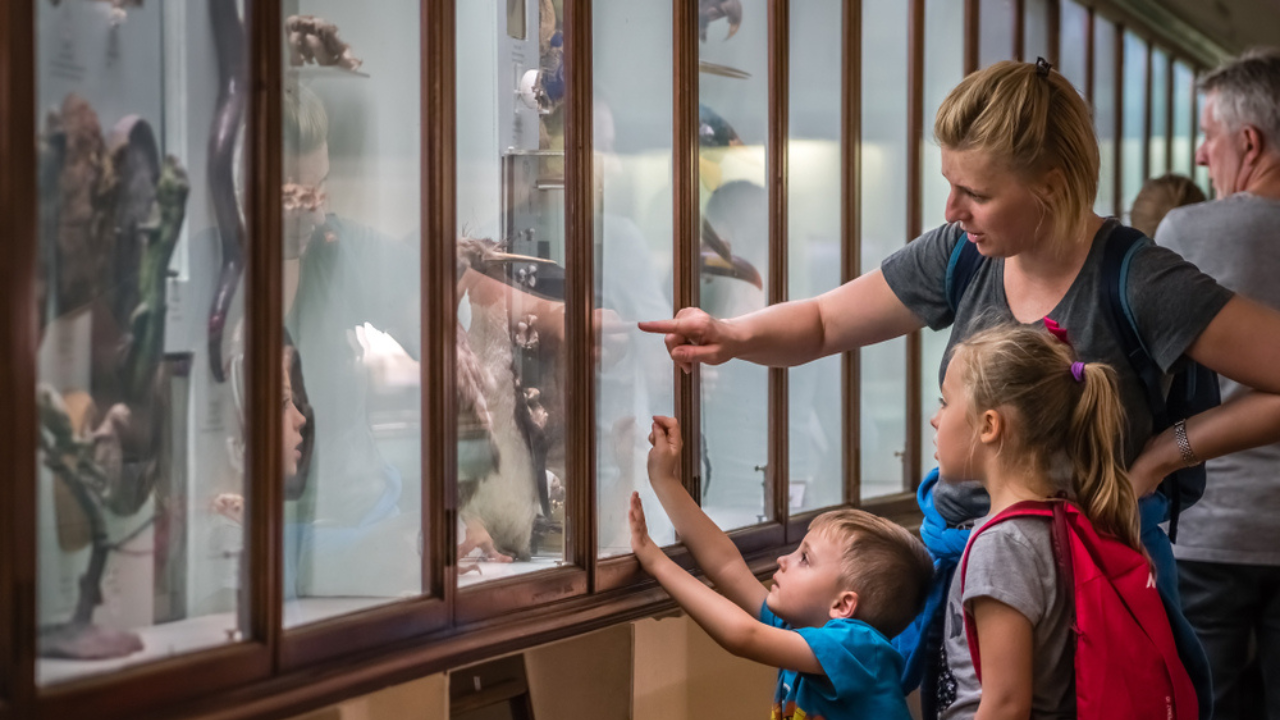 19 museums around the world that visitors say are worth the long lines