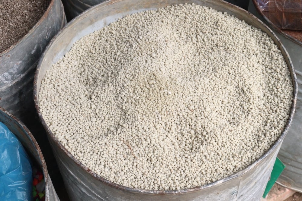 Wheat Futures Prices Have Surged 30% This Year As Iran War Hit ...