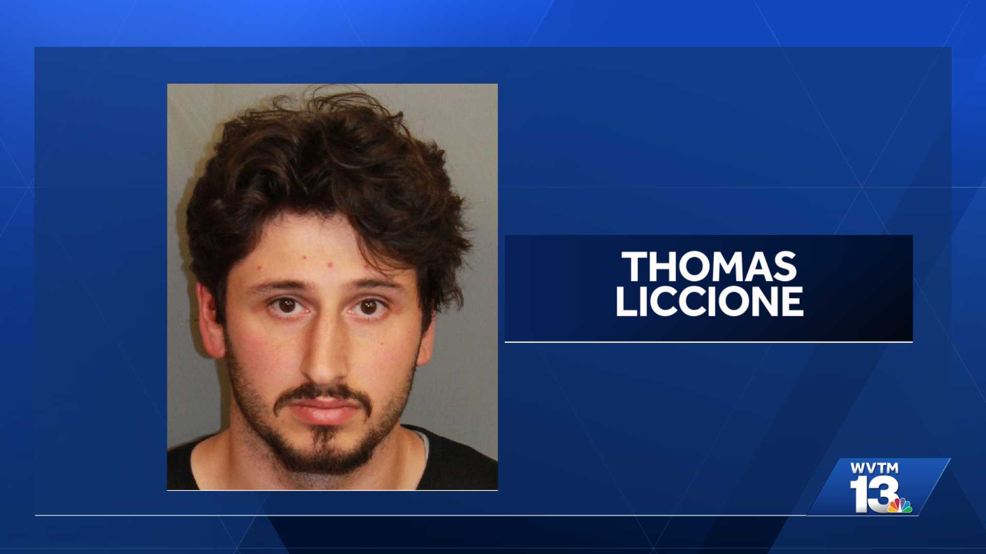 Birmingham man charged after throwing five kittens from car window on I ...