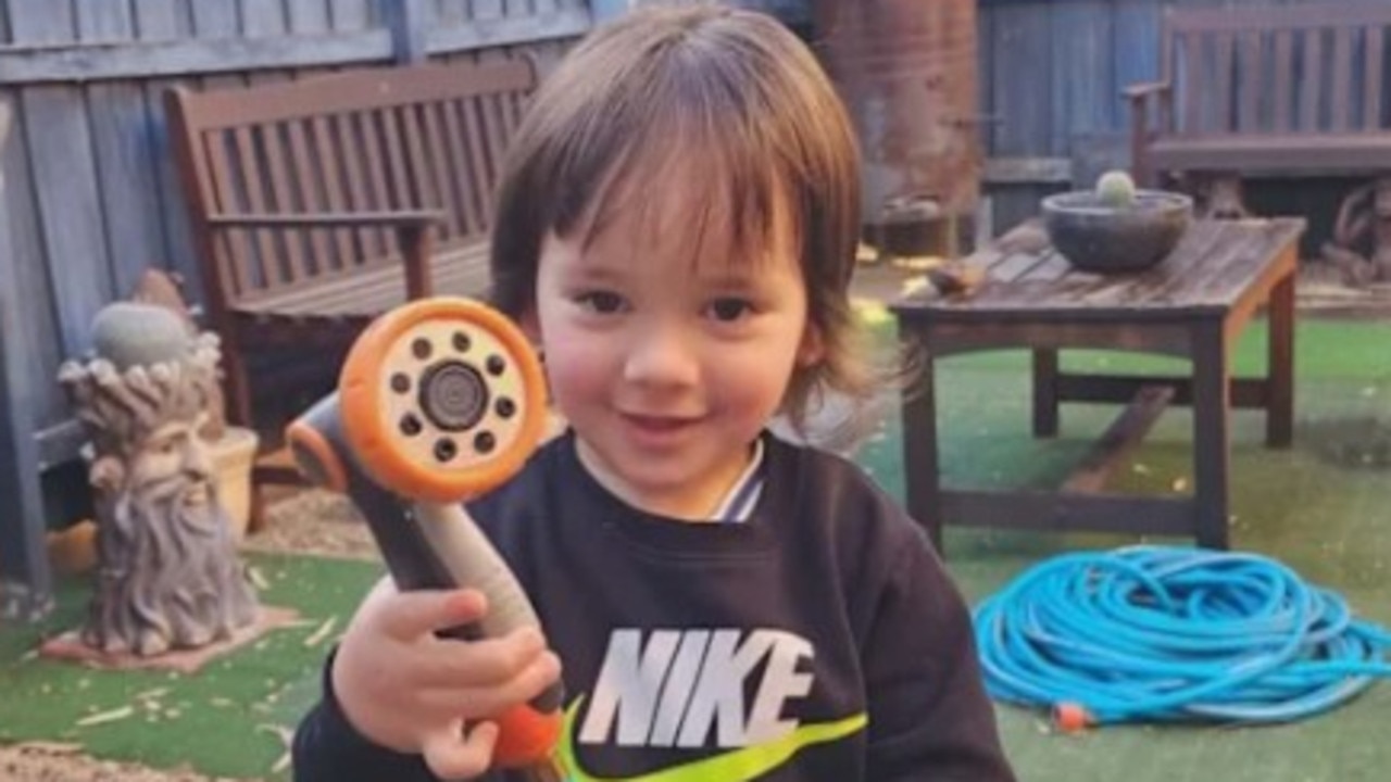 Dogs die by toddler’s side in house fire