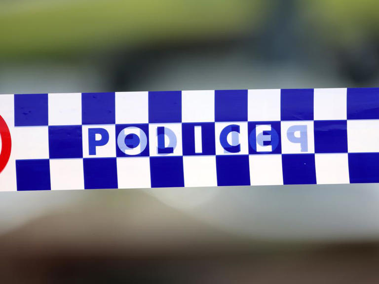 Tragic details after kids left in hot cars die