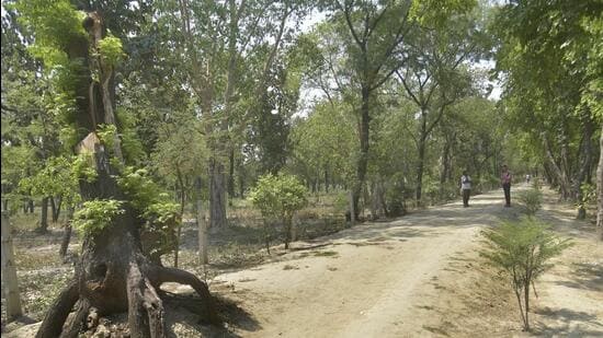 Ghaziabad: 23-year-old friend held for murder of para athlete