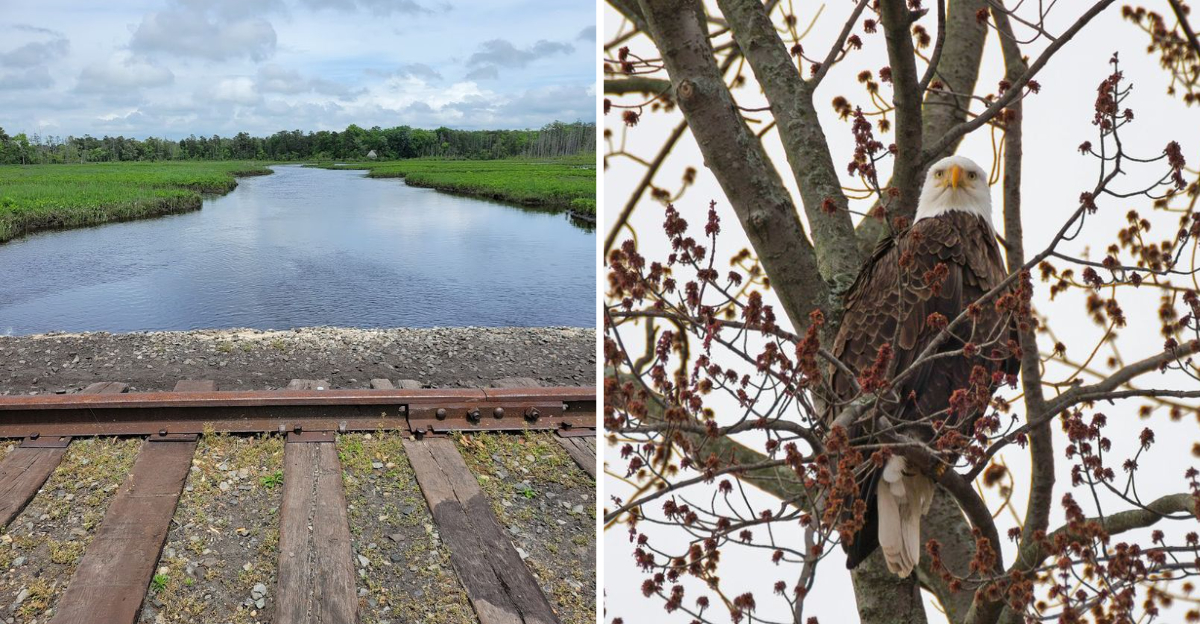 The largest nature preserve in New Jersey is a hidden wilderness of ...