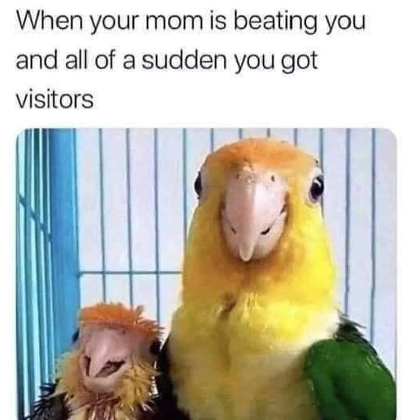 A tiny treasure trove of mom memes for mothers performing daily miracles