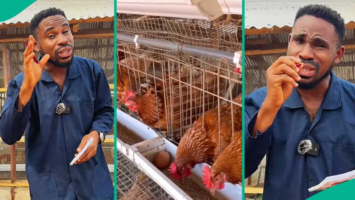 "Here are the things you should before starting farming": Experienced ...