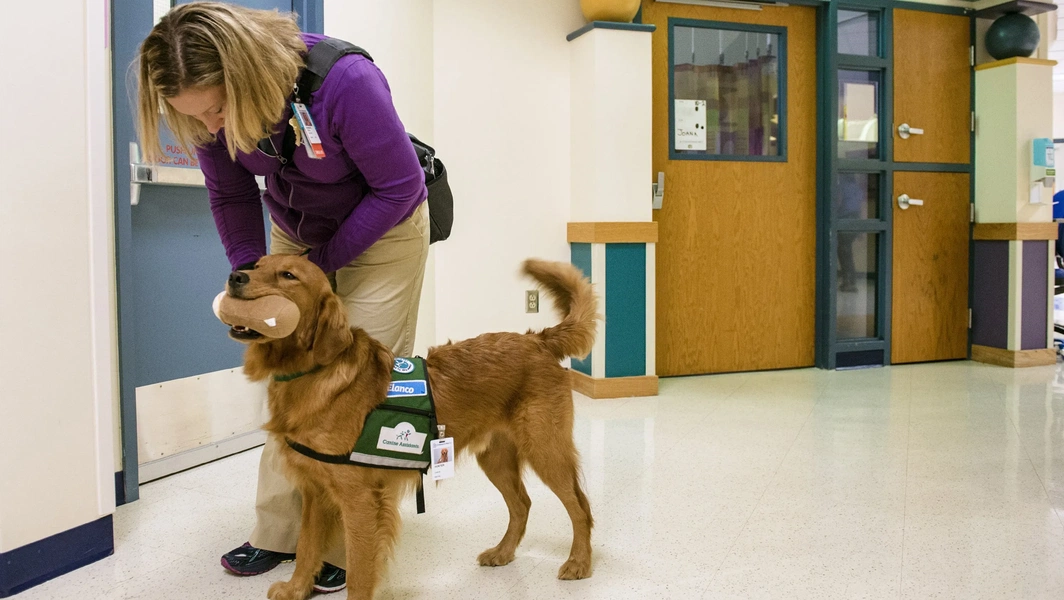 Texas hospital dogs mark two years helping young patients