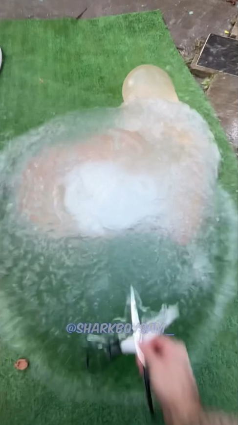 Monkey flooded my garden in the craziest way