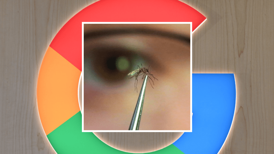 Google wants to release up to 32 million 'good' mosquitoes in ...
