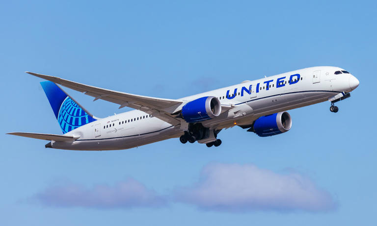 Careless passenger causes international flight to make U-turn