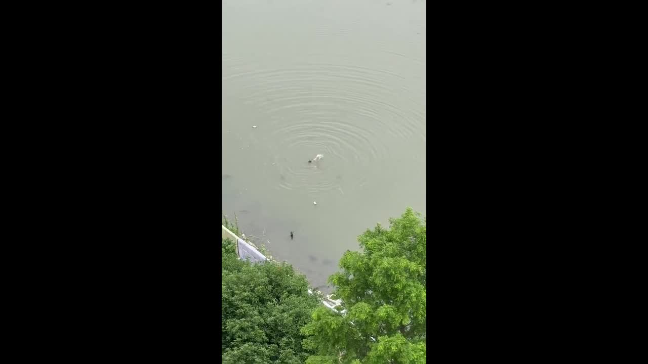 Man rescues boy from river after fall into water in Shaoxing, Zhejiang ...