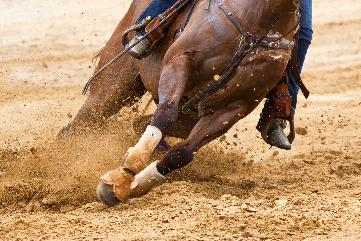 Teenage girl accused of stabbing horses at Vegas barrel racing event