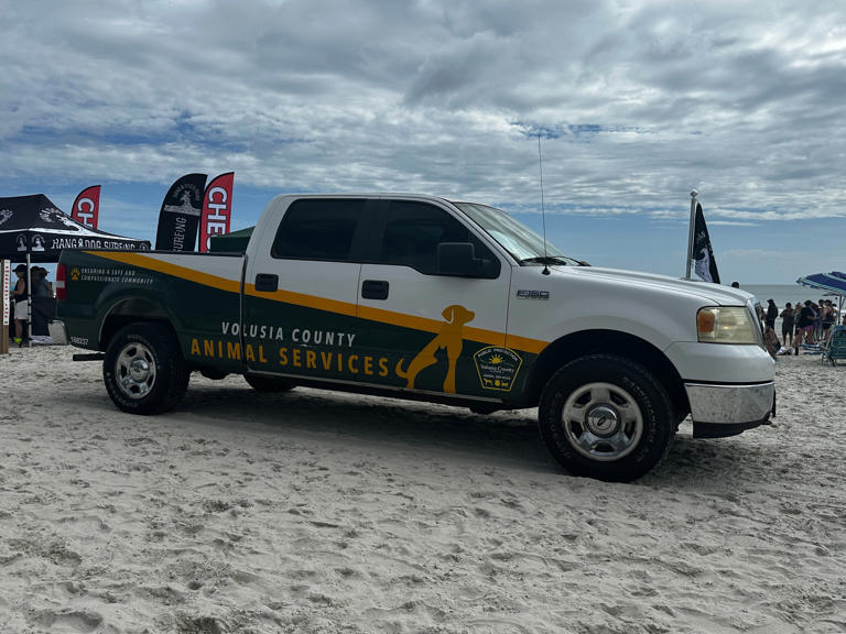 Daytona Beach hosts Hang Eight dog surfing extravaganza