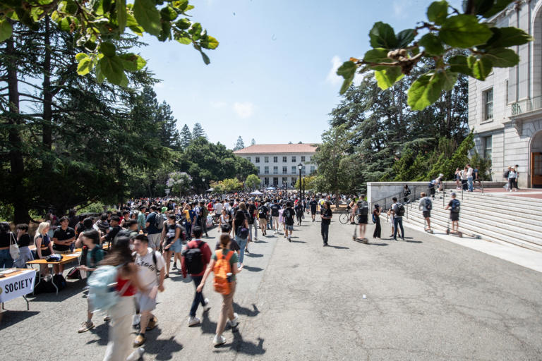 1,000 professors push to reinstate SAT, ACT as US university students ...