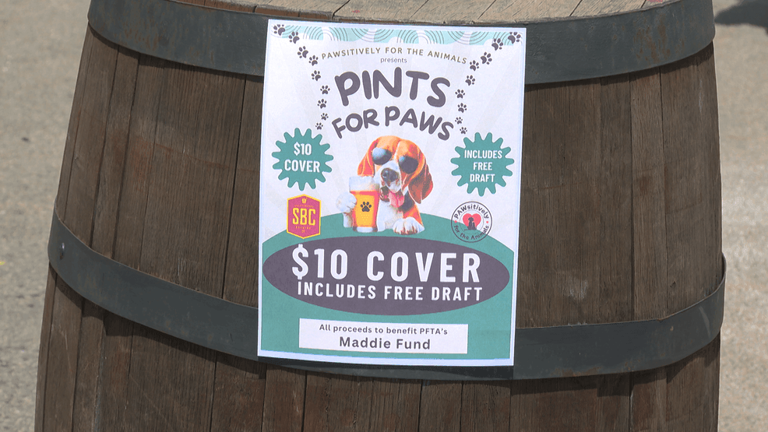 Brews, dogs, and donations: Pints for Paws returns to NEPA
