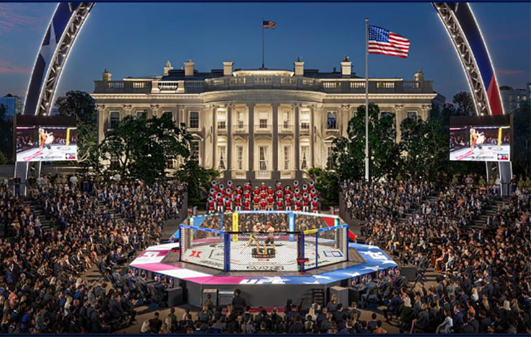 Bigly ornaments and sassy art take over DC