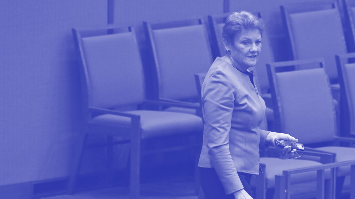 Pauline Hanson expects government will amend CGT changes