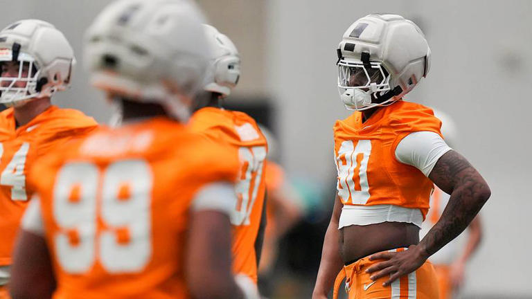 Former Ohio State transfer portal target rumored to be dismissed from ...
