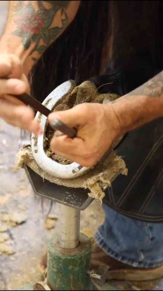Only Few Can Do This Farrier Skill