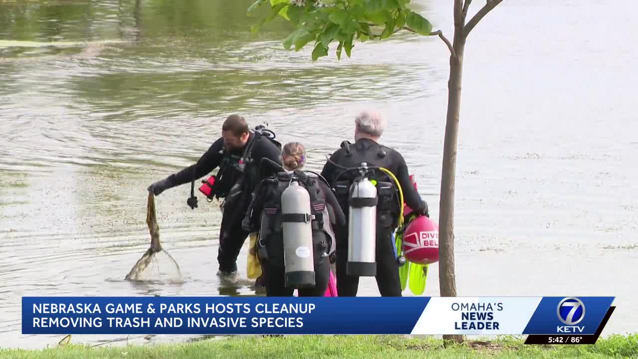 Volunteers remove invasive species from Papillion lake