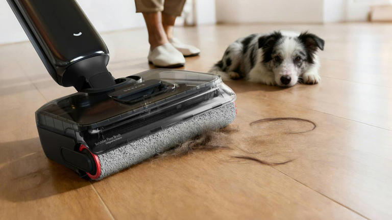 7 household noises that are making your pet feel unsafe, according to a vet