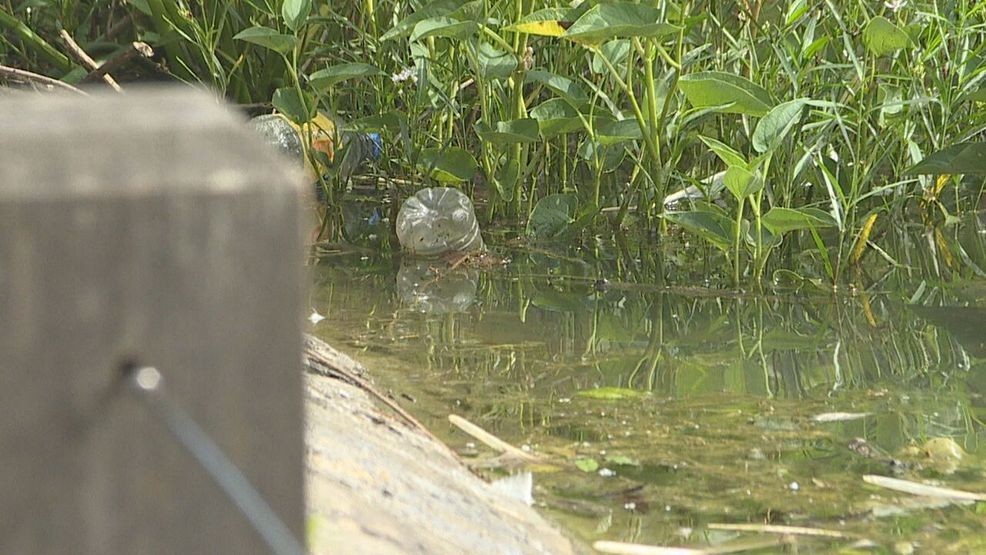Litter cleanup at East Lake Park in Chattanooga encourages residents to ...