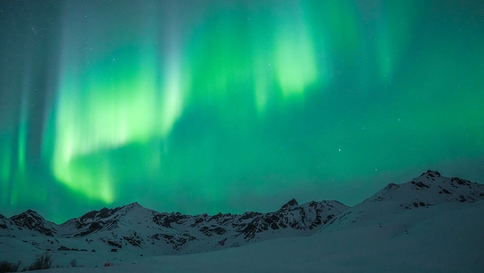 15 extraordinary natural wonders and animal behaviors
