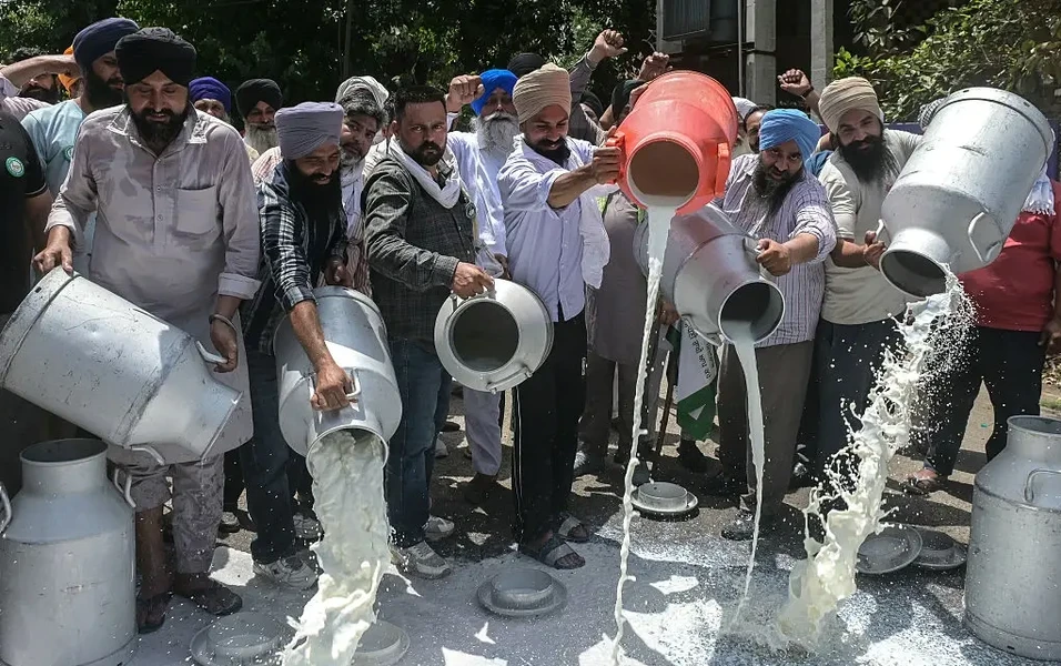 Odisha farmers dump 20,000 litres milk as Omfed halts procurement