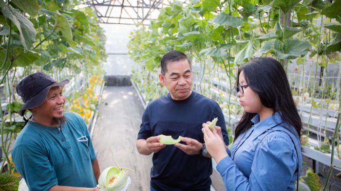 Kapolda Malut petik melon di Azafarm Gambesi, tertarik kembangkan di Sofifi