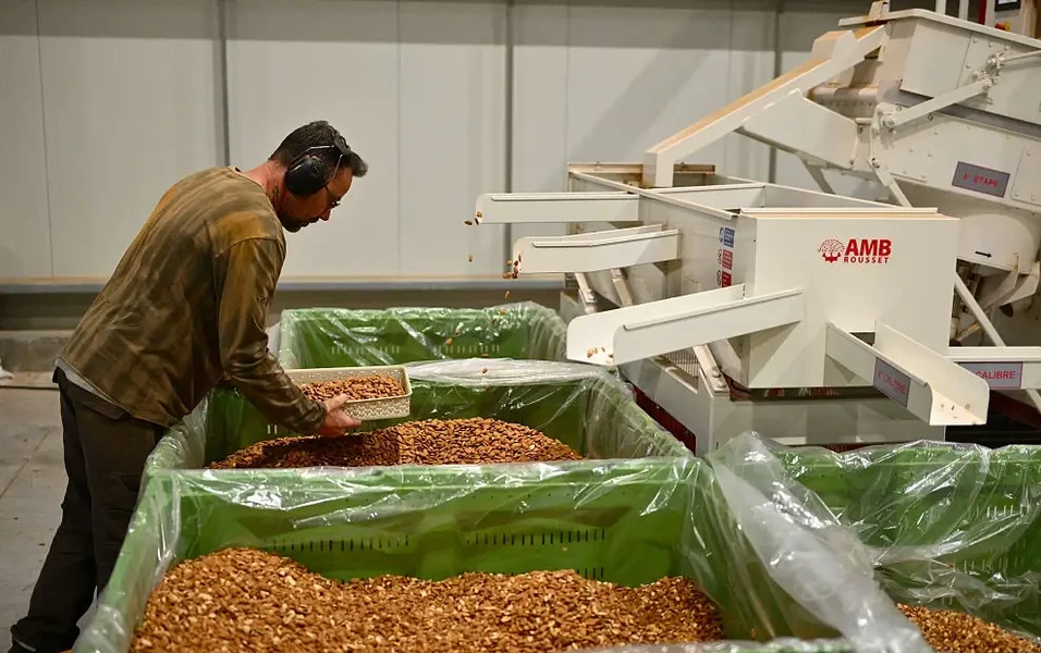Nuts and seeds that love your heart
