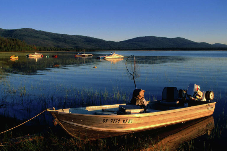 5,800 rainbow trout faced a 'bleak' death sentence. An emergency rescue ...