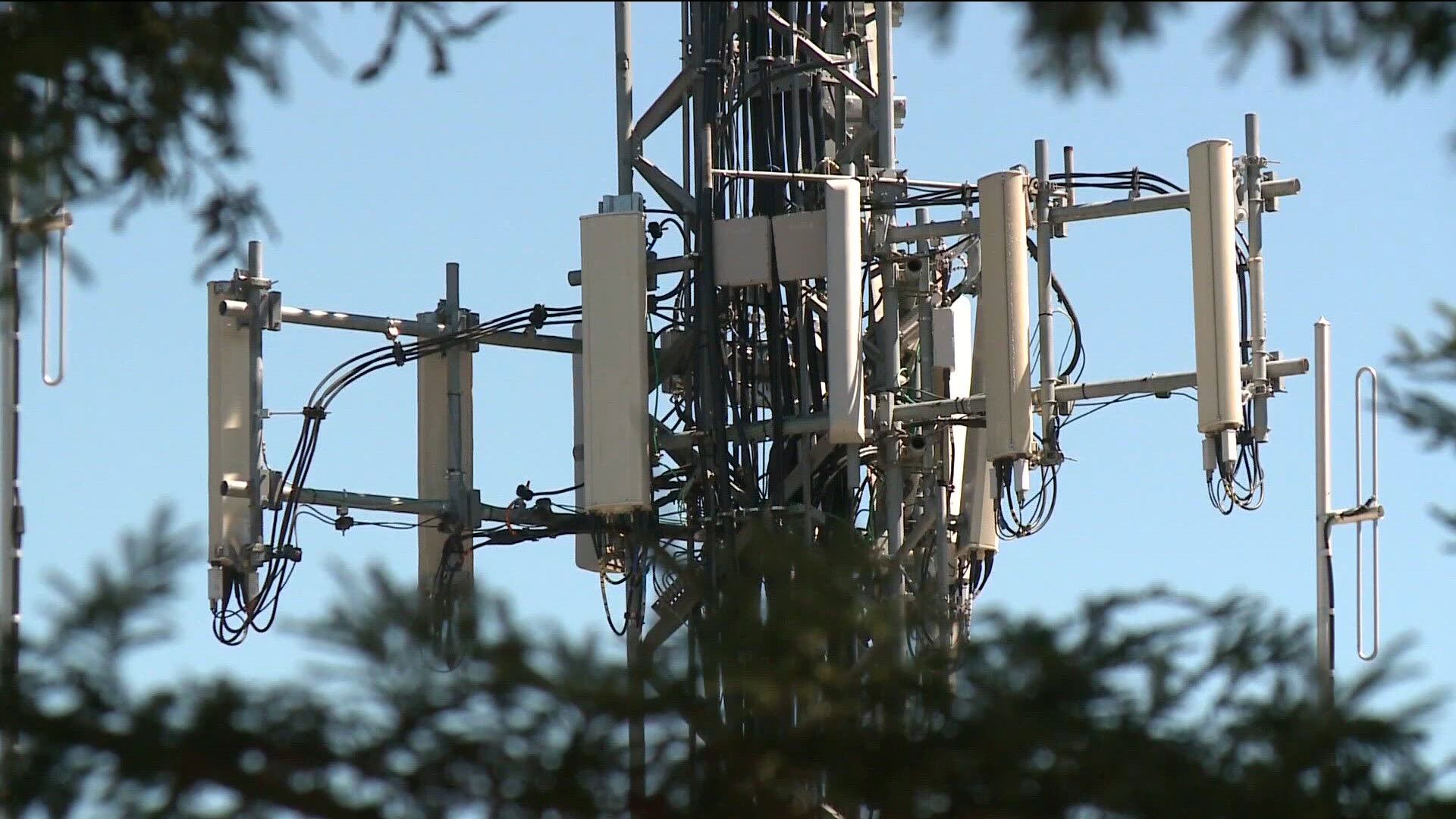 Community rally against proposed 65-foot cell tower in Clairemont