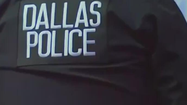 Suspect seizes Dallas police car, jumps onto freeway; officer and ...