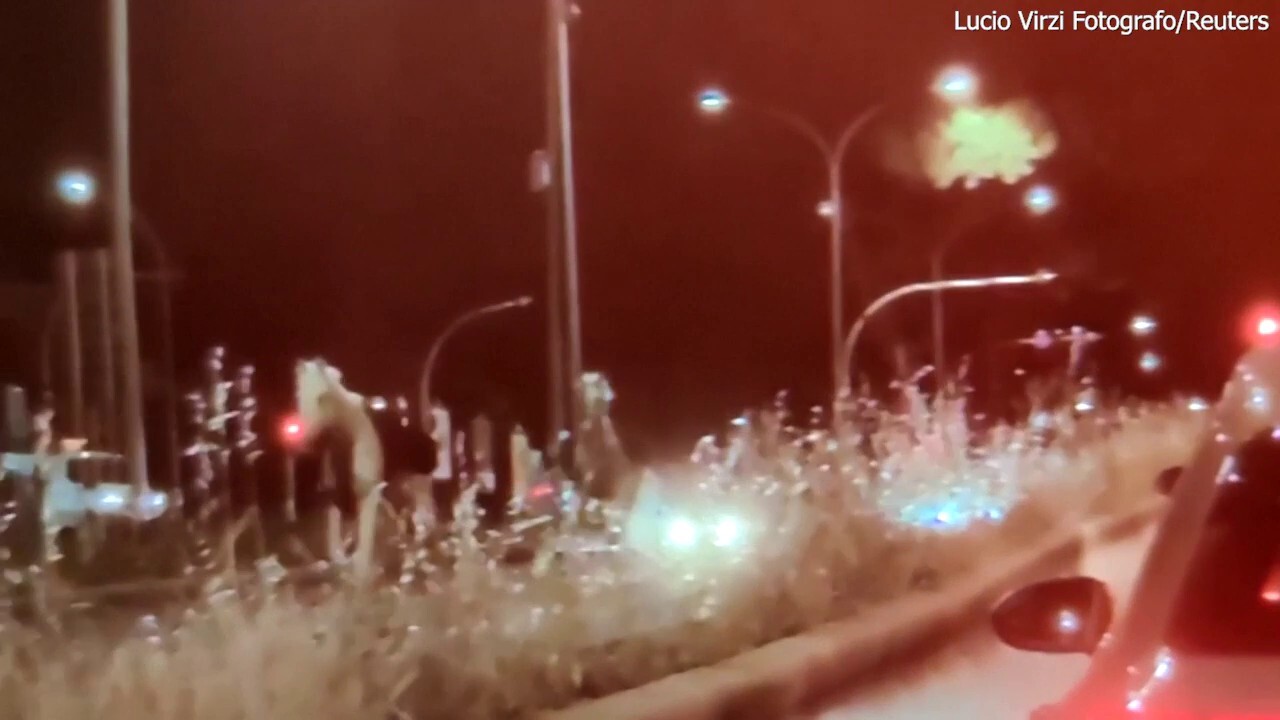 Horses bolt through Rome after unauthorized fireworks reportedly ...