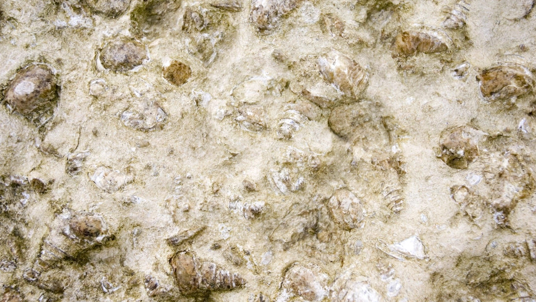 Sedimentary rocks tell Earth’s hidden stories