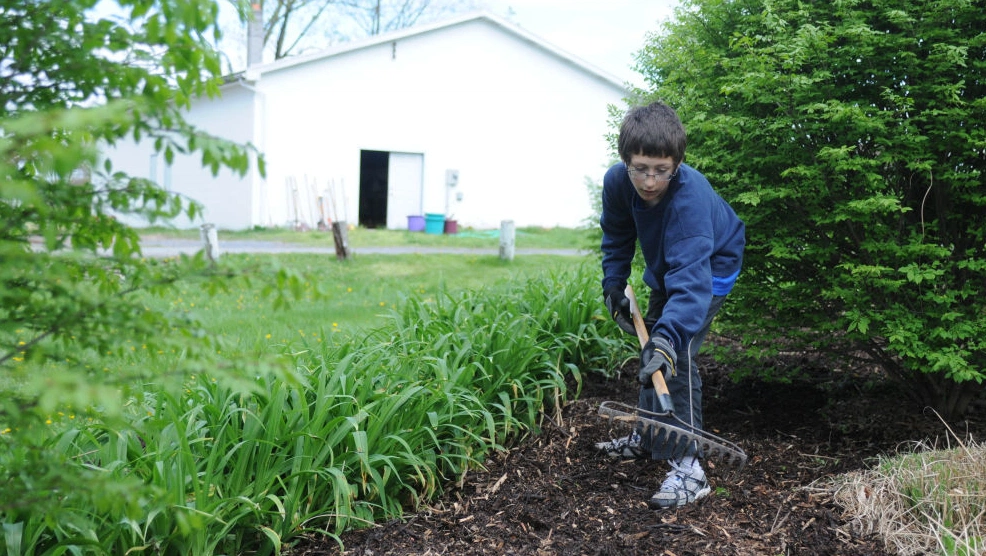 Experts outline when gardens need fresh mulch