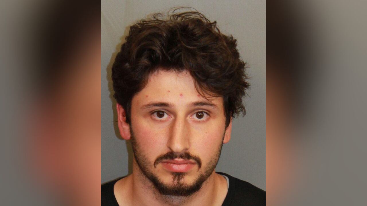 Homewood police: Man charged after throwing kittens out of moving car ...
