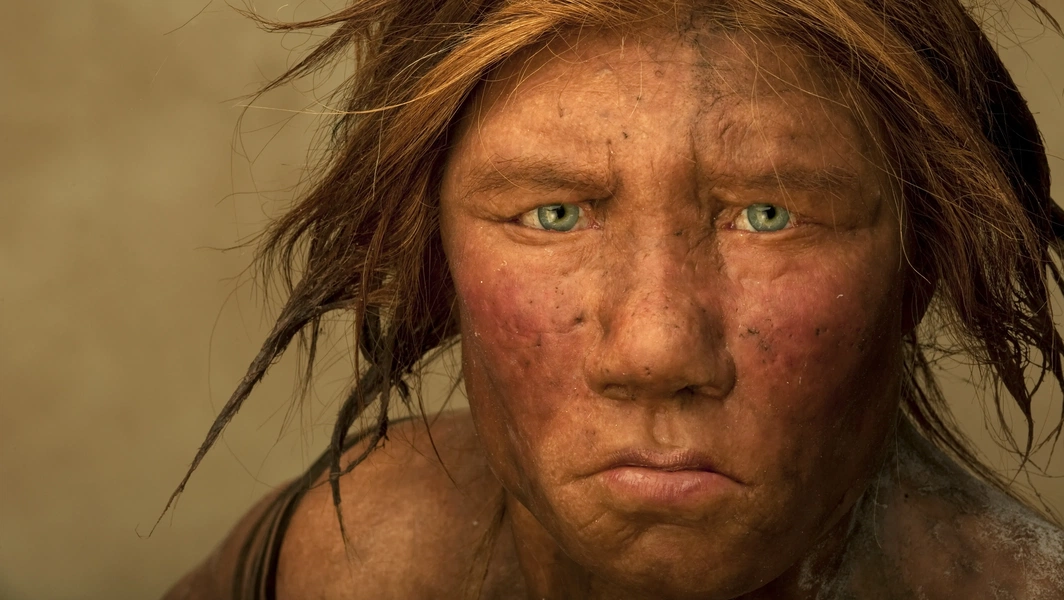 Neanderthal DNA linked to weaker defenses against DNA viruses