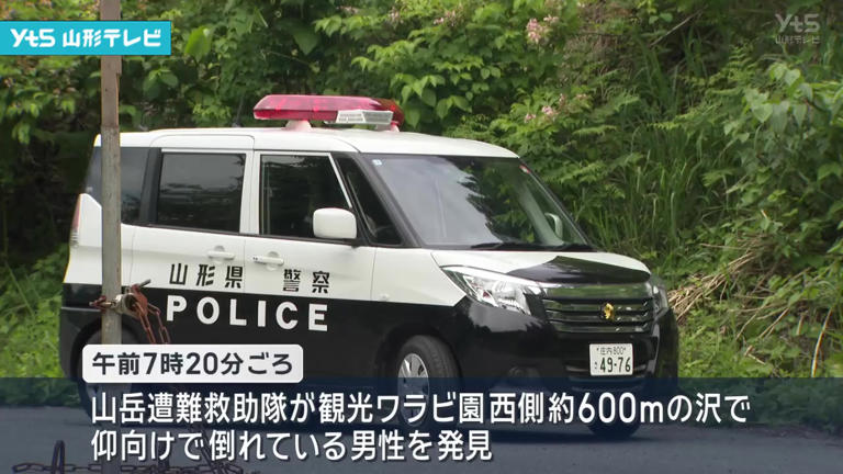 ワラビ採りで行方不明の男性 心肺停止で発見