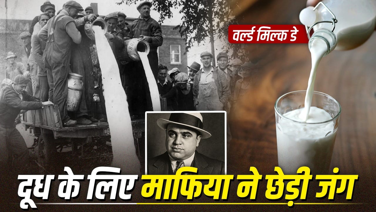 World Milk Day: शराब छोड़कर माफियाओं ने दूध के लिए क्यों बहाया खून ...
