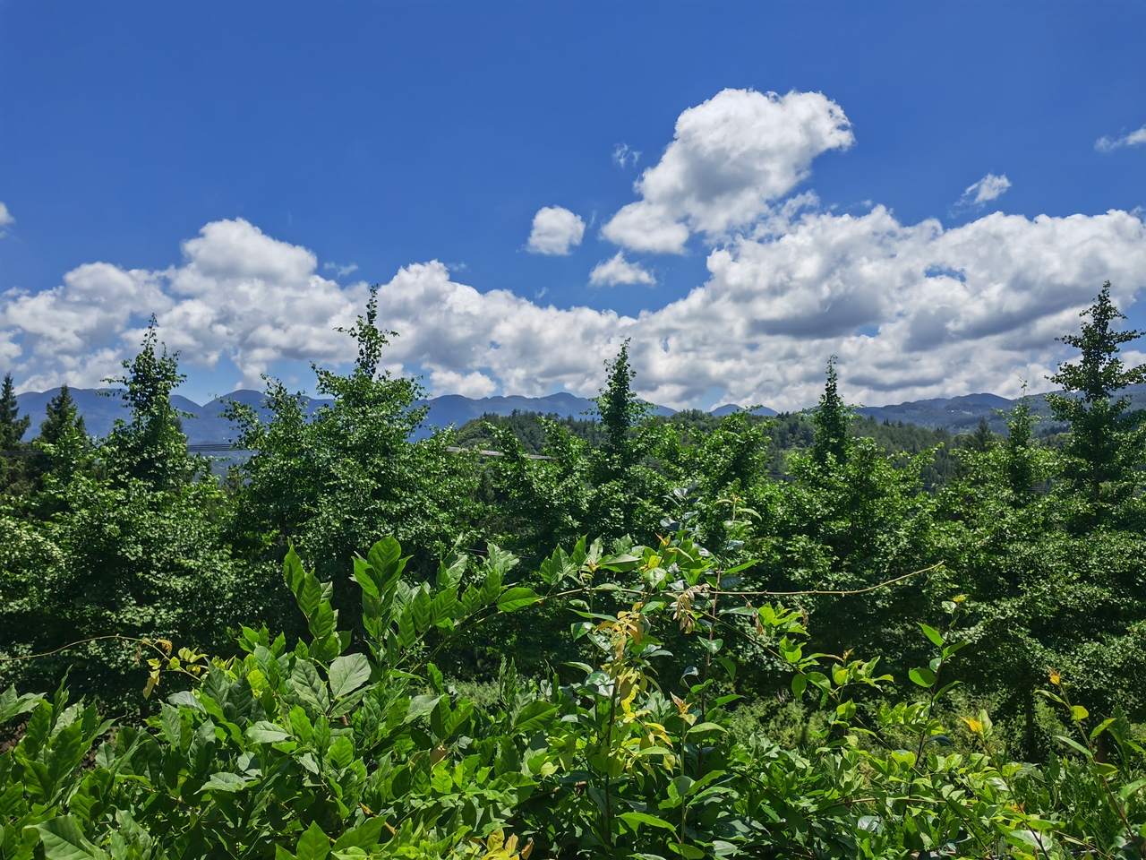 重庆巫山：蓝天白云下的青山