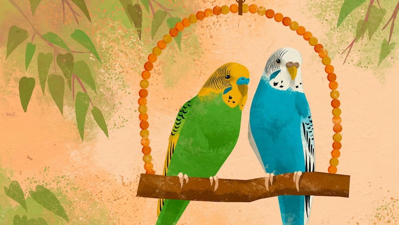 My seatmate on a plane wants marriage 'someday.' Why Gen Z is waiting