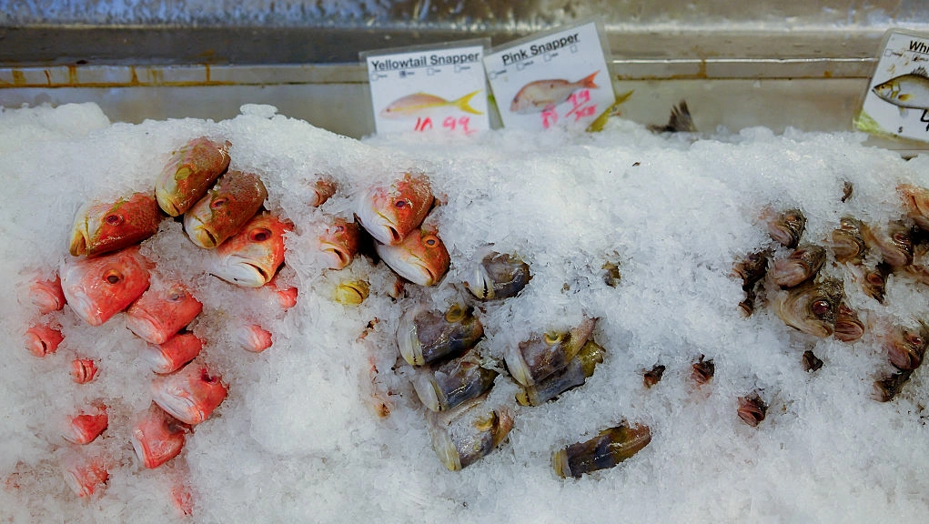 Master the art of cooking fish at home