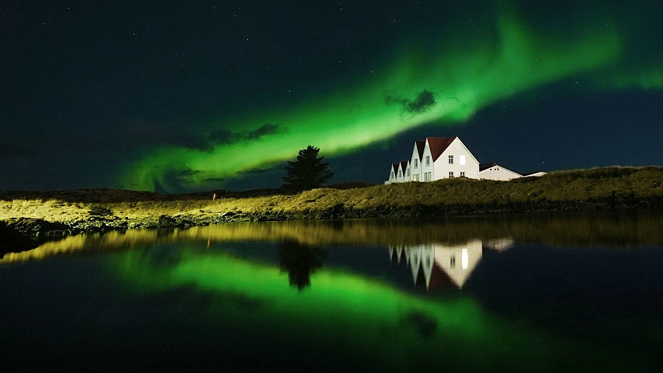 15 extraordinary natural wonders and animal behaviors