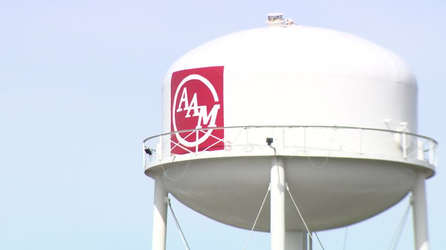 UAW begins strike at American Axle