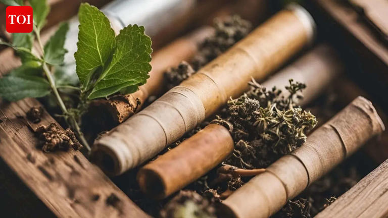 Natural doesn’t mean safe: Study details why herbal cigarettes may be ...