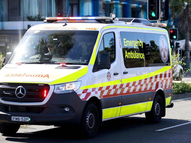 Tragic details after kids left in hot cars die