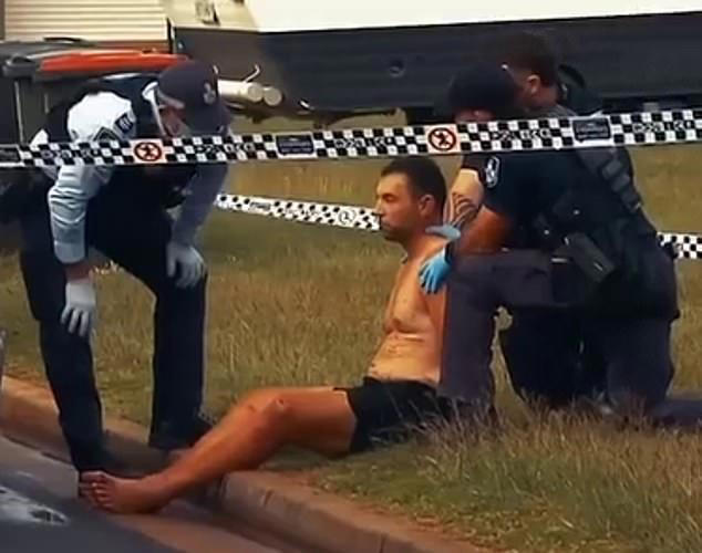 Revealed: Why blue heeler row may have triggered deadly attack on ...